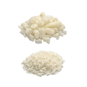 Products - AlloSource