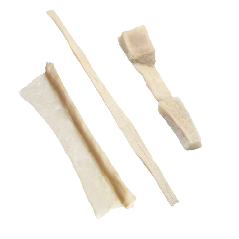 Products - AlloSource