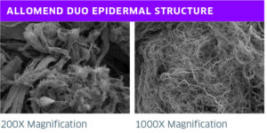 AlloMend® Duo - AlloSource